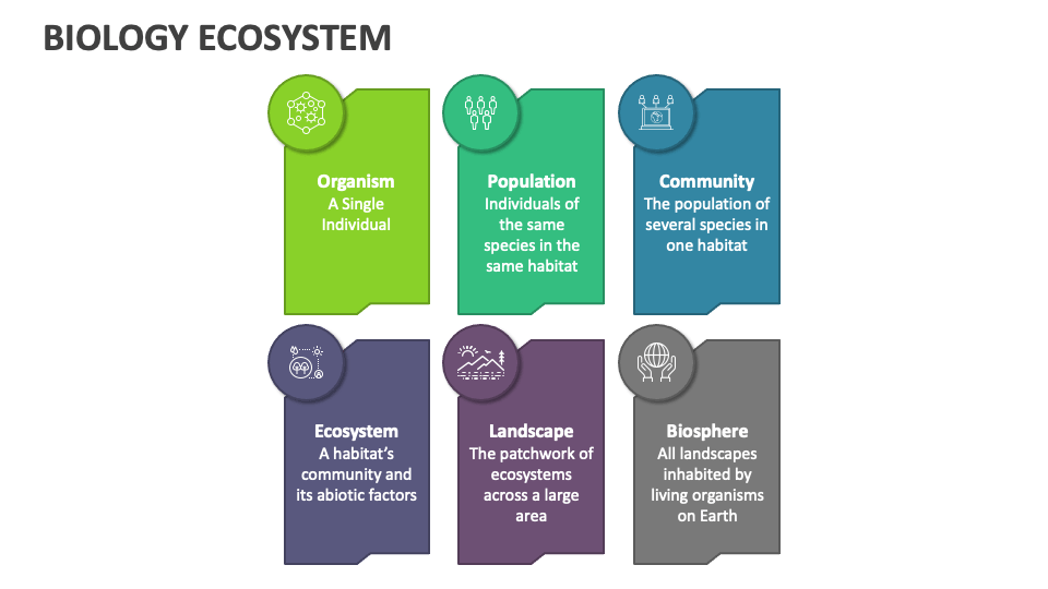 Biology Ecosystem PowerPoint and Google Slides Template - PPT Slides
