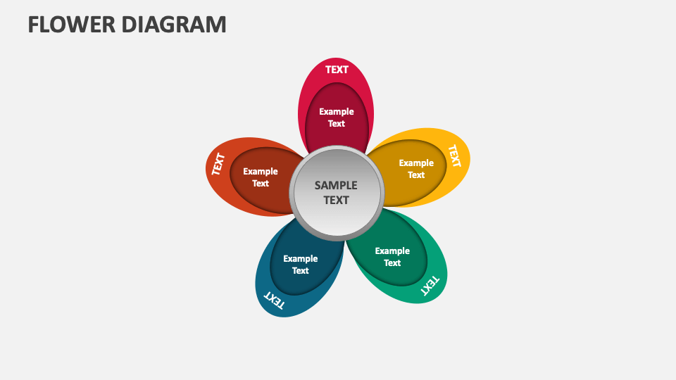 Flower Diagram Template for PowerPoint and Google Slides - PPT Slides