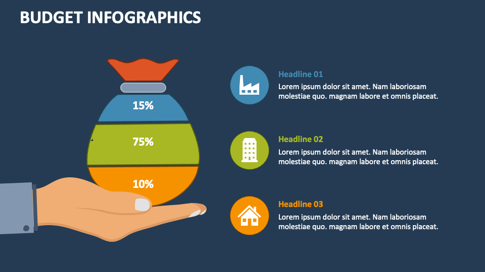 Budget Infographics Template for Google Slides and PowerPoint - PPT Slides