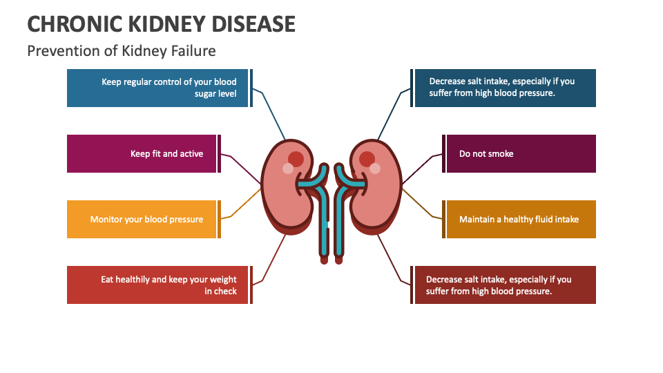 Chronic Kidney Disease PowerPoint and Google Slides Template - PPT Slides