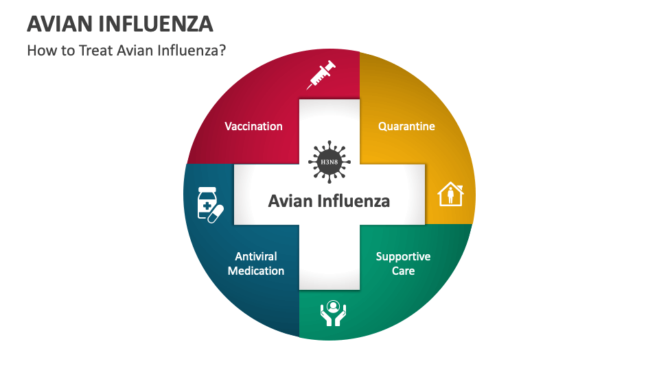Avian Influenza PowerPoint and Google Slides Template - PPT Slides