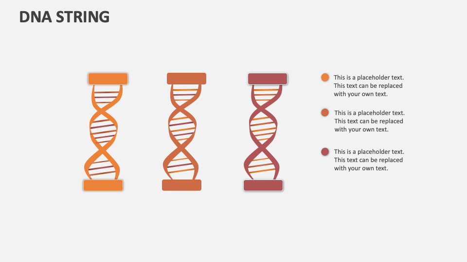 DNA String Template for PowerPoint and Google Slides - PPT Slides