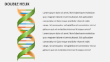Double Helix Template for Google Slides and PowerPoint - PPT Slides