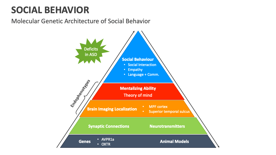 Social Behavior PowerPoint and Google Slides Template - PPT Slides