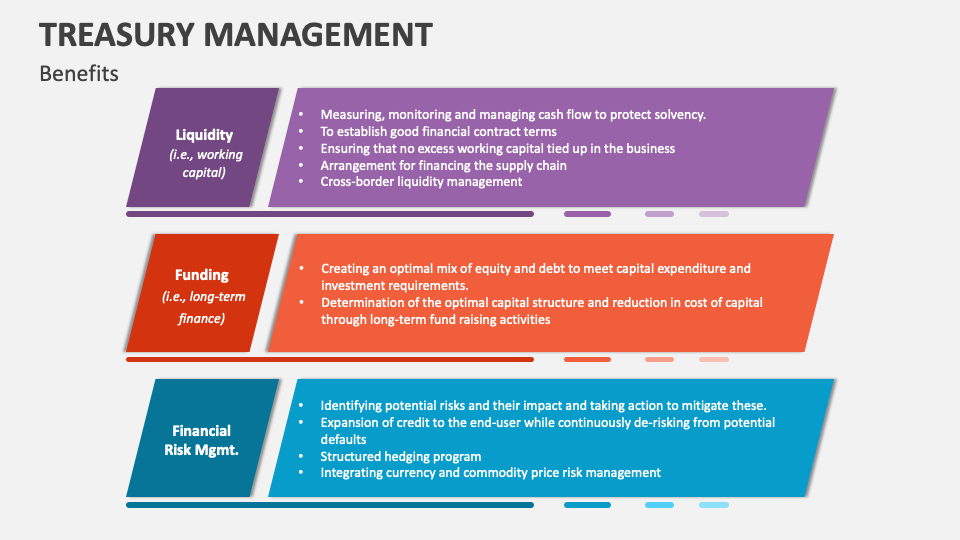 Treasury Management PowerPoint and Google Slides Template - PPT Slides