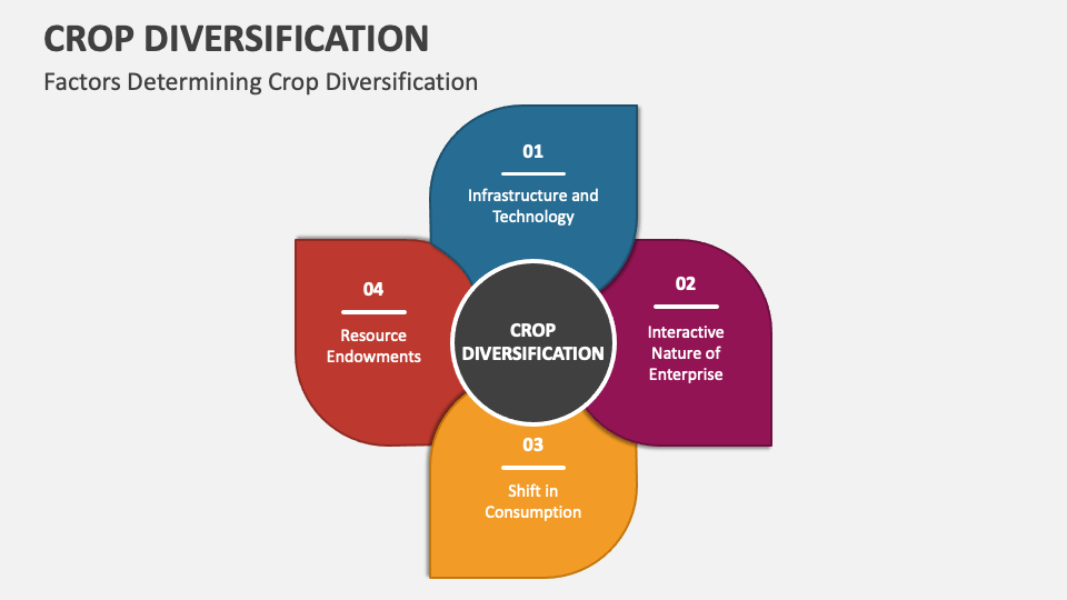 Crop Diversification PowerPoint and Google Slides Template - PPT Slides