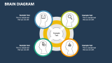Brain Diagram for PowerPoint and Google Slides - PPT Slides