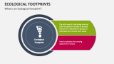 Ecological Footprints PowerPoint and Google Slides Template - PPT Slides