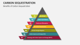 Carbon Sequestration PowerPoint and Google Slides Template - PPT Slides