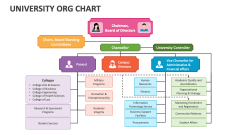 University Org Chart PowerPoint and Google Slides Template - PPT Slides
