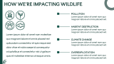 Free - Endangered Species Presentation Template for Google Slides and ...