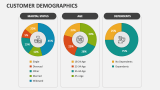 Customer Demographics PowerPoint and Google Slides Template - PPT Slides