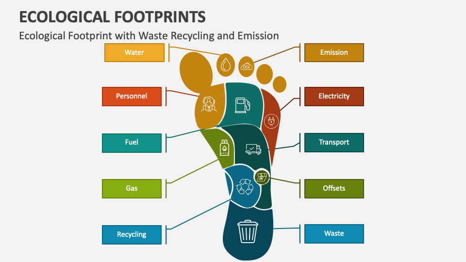 Ecological Footprints PowerPoint and Google Slides Template - PPT Slides
