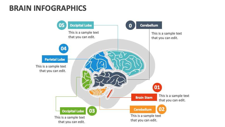 Brain Infographics PowerPoint and Google Slides Template - PPT Slides