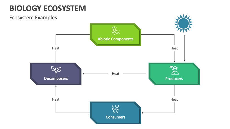 Biology Ecosystem PowerPoint and Google Slides Template - PPT Slides