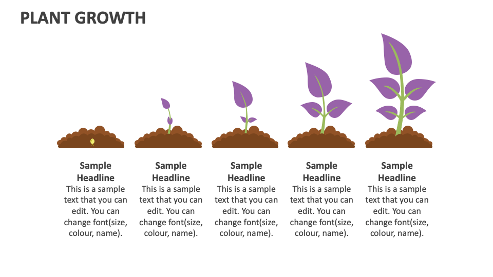 Plant Growth PowerPoint and Google Slides Template - PPT Slides