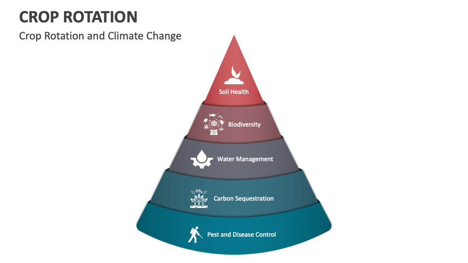 Crop Rotation PowerPoint and Google Slides Template - PPT Slides