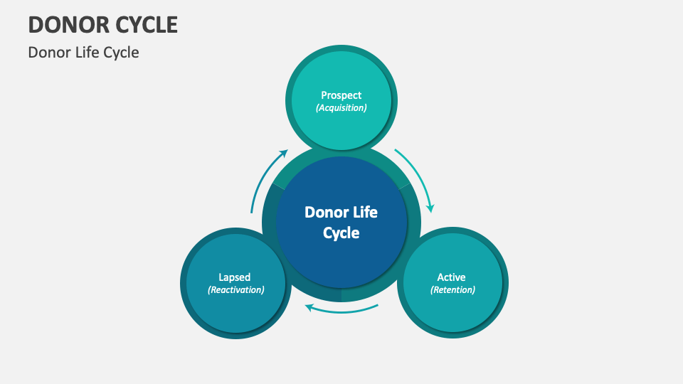 Donor Cycle Template for PowerPoint and Google Slides - PPT Slides