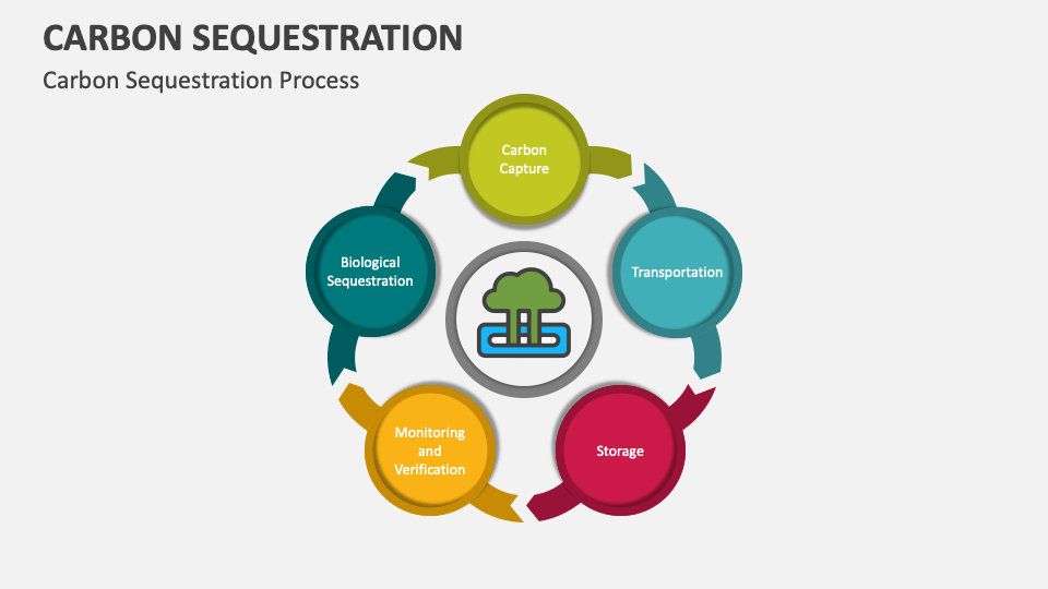 Carbon Sequestration PowerPoint and Google Slides Template - PPT Slides