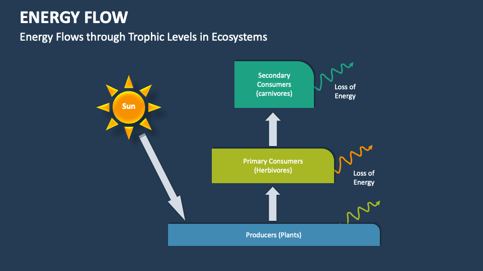 Energy Flow Template for PowerPoint and Google Slides - PPT Slides