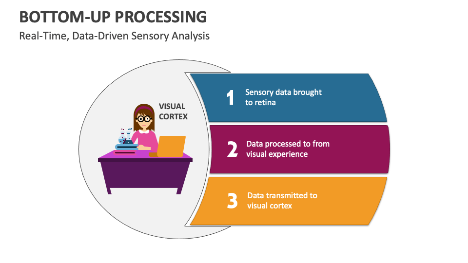 Bottom-Up Processing PowerPoint and Google Slides Template - PPT Slides Bottom-Up Processing PowerPoint and Google Slides Template - PPT Slides