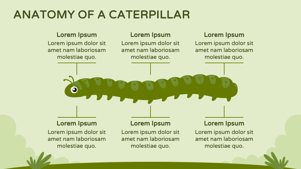 Free Caterpillar Presentation for Google Slides and PowerPoint