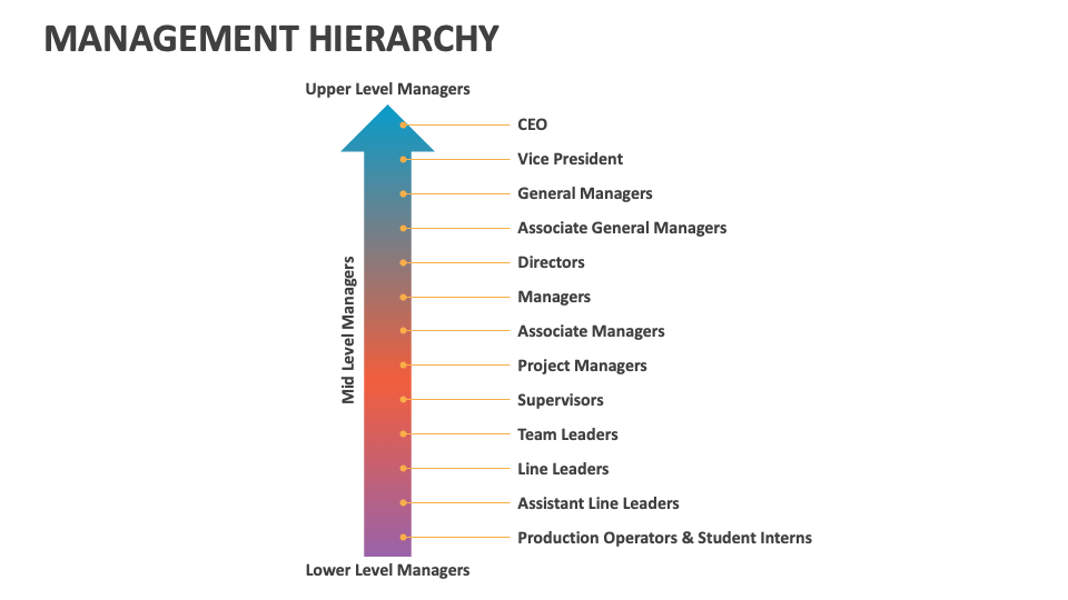 Management Hierarchy PowerPoint and Google Slides Template - PPT Slides