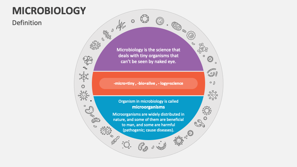 Microbiology PowerPoint and Google Slides Template - PPT Slides