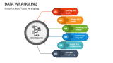 Data Wrangling PowerPoint and Google Slides Template - PPT Slides