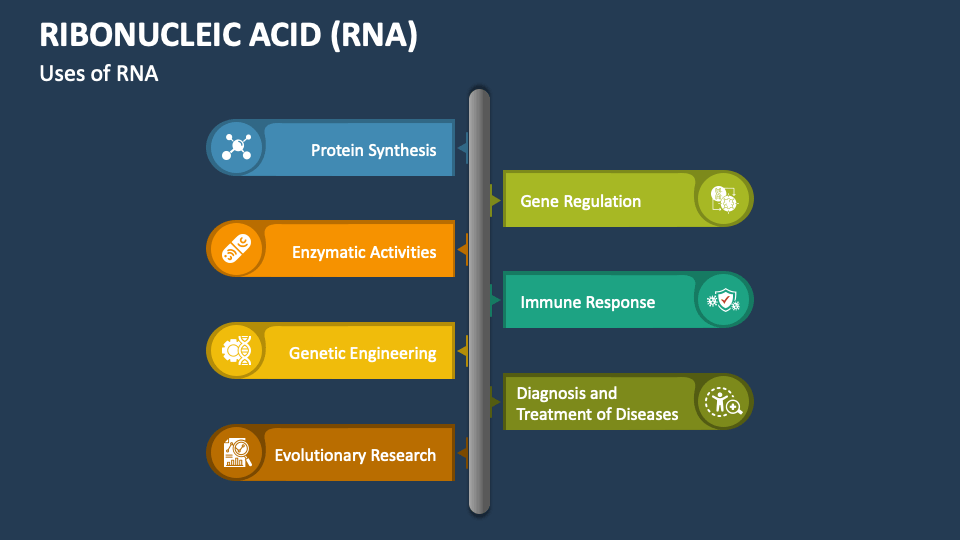 Ribonucleic Acid (RNA) PowerPoint and Google Slides Template - PPT Slides