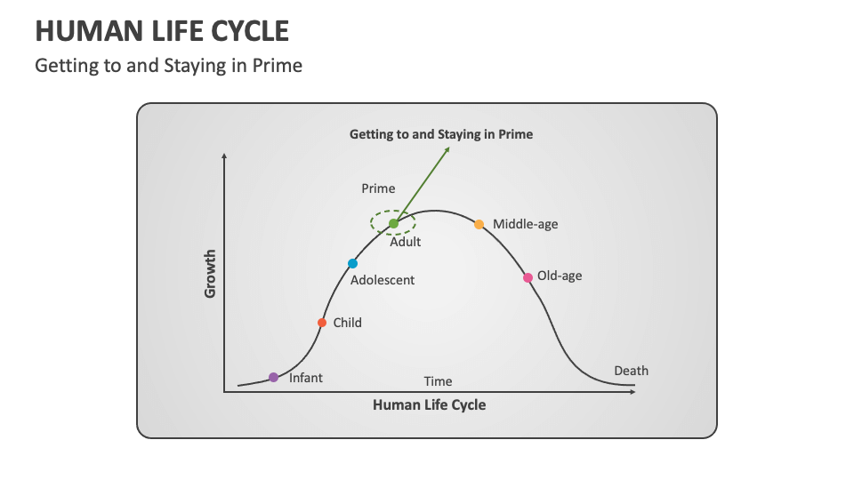 Human Life Cycle PowerPoint and Google Slides Template - PPT Slides