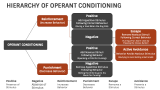 Operant Conditioning Template for Google Slides and PowerPoint - PPT Slides