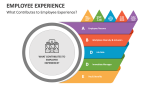 Employee Experience Template for PowerPoint and Google Slides - PPT Slides