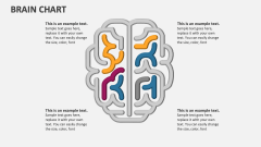 Brain Chart for PowerPoint and Google Slides - PPT Slides