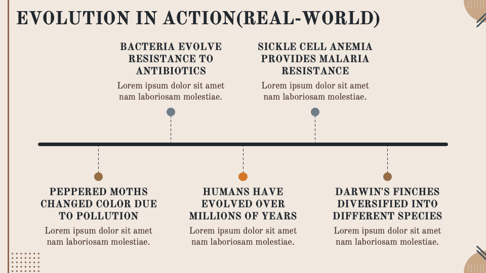 Theories of Evolution Template for Google Slides and PowerPoint - PPT ...