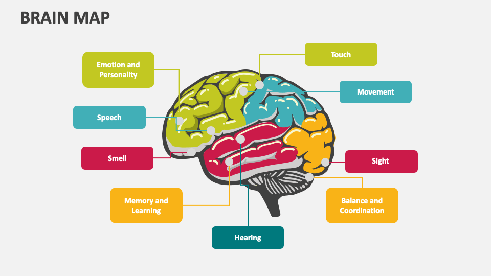 Brain Map PowerPoint and Google Slides Template - PPT Slides