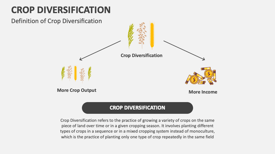 Crop Diversification PowerPoint and Google Slides Template - PPT Slides