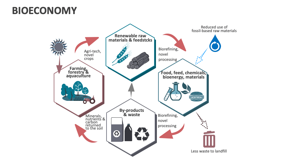 Bioeconomy Template for PowerPoint and Google Slides - PPT Slides