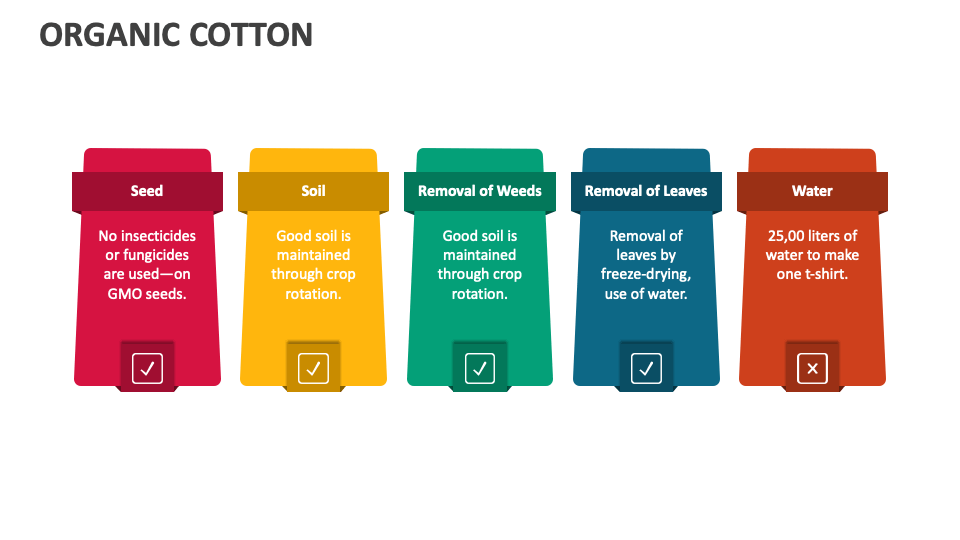 Organic Cotton PowerPoint and Google Slides Template - PPT Slides