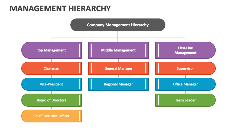 Management Hierarchy PowerPoint and Google Slides Template - PPT Slides