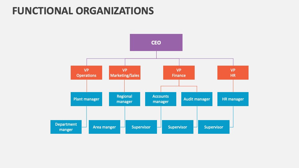 Functional Organizations Template for PowerPoint and Google Slides ...