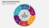 Crop Diversification PowerPoint and Google Slides Template - PPT Slides