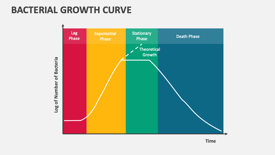 Bacterial Growth Curve Bacterial Growth Curve And Nutrition » Free